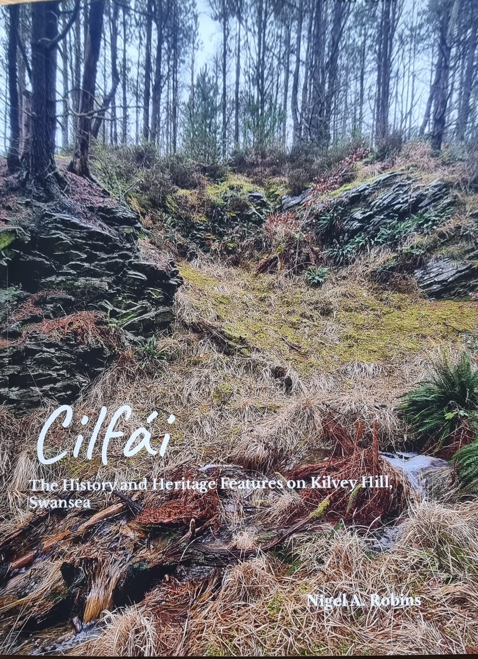 Cilfái: The History and Heritage Features on Kilvey Hill, Swansea ...