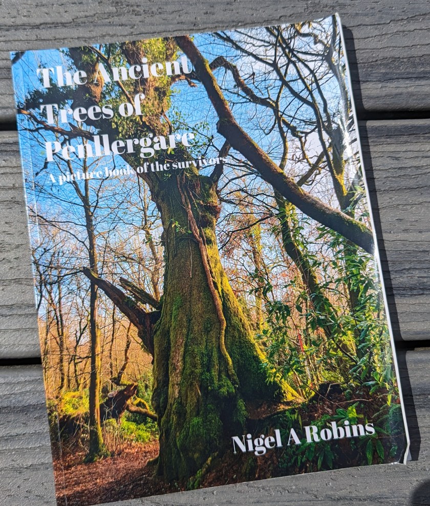 Penllergare: The Ancient Trees – Nigel Robins