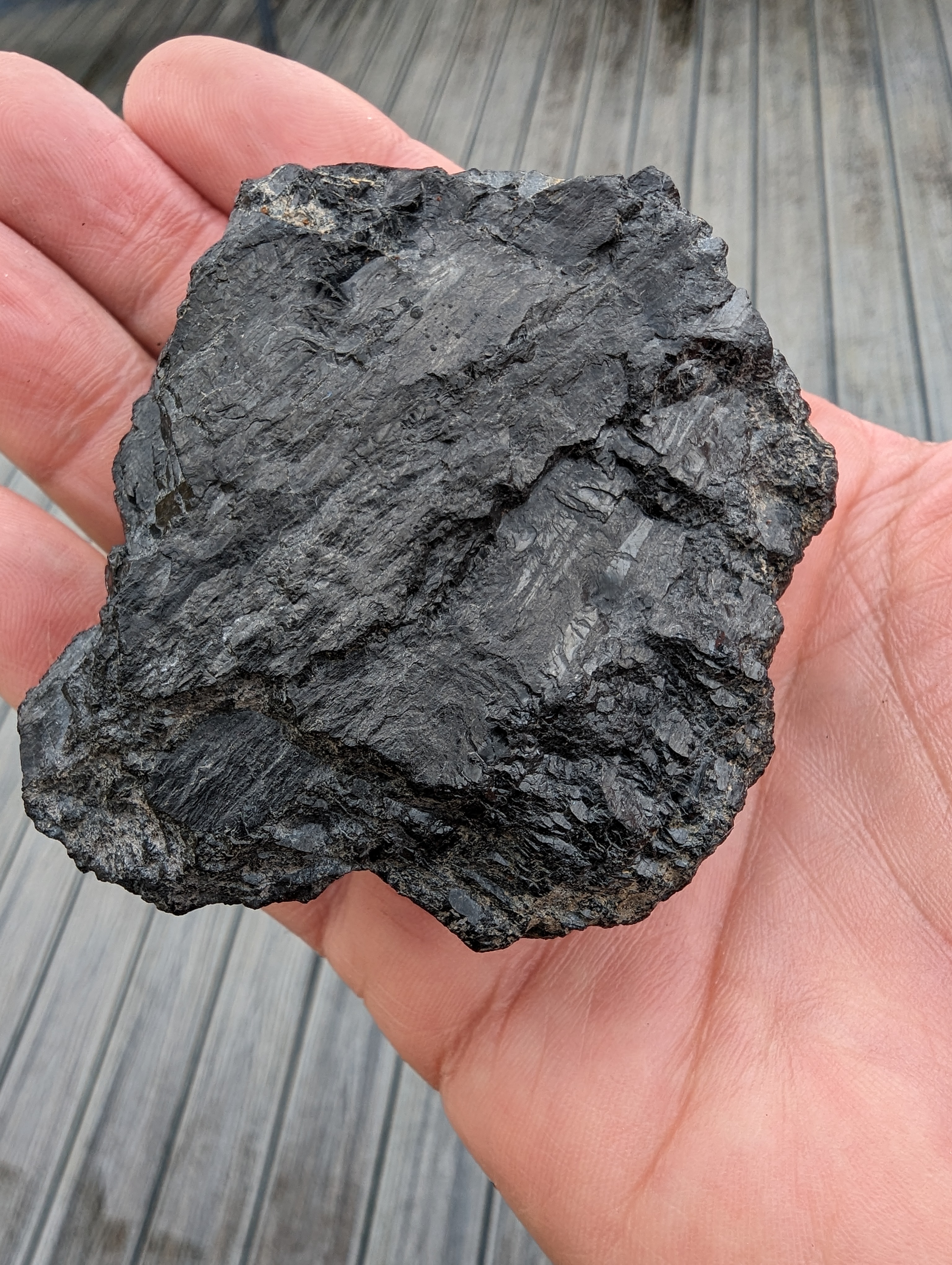Understanding Coal: the history – Nigel Robins